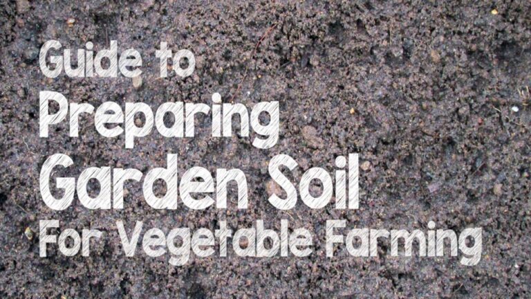 [2026] How to Prepare Garden Soil for Organic Vegetable Garde - ReilSolar