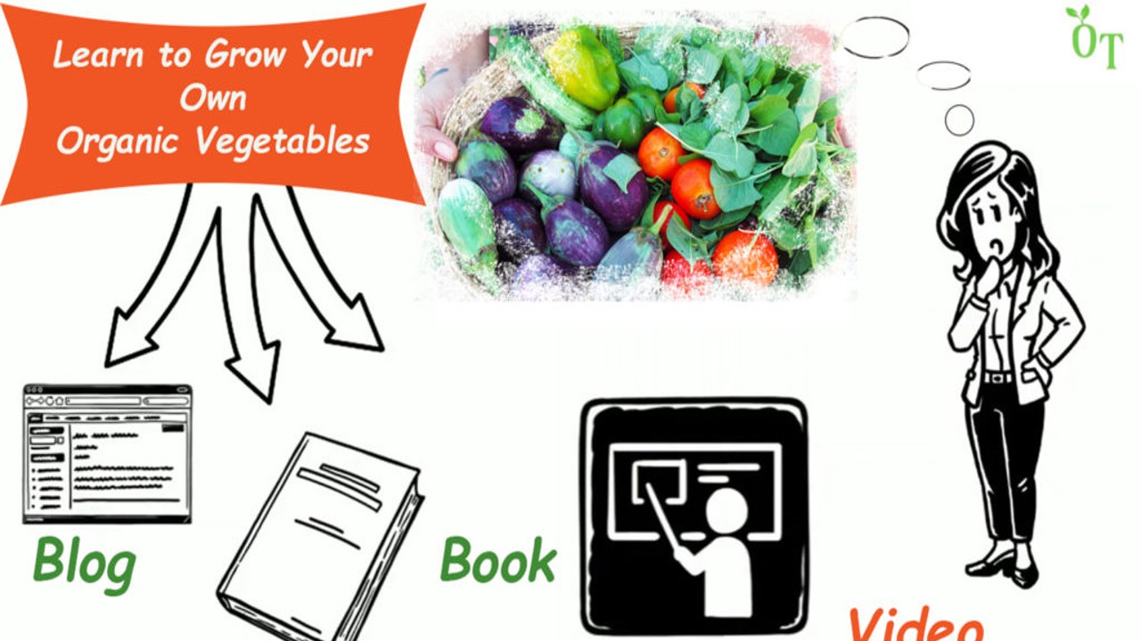 [2026] Learn to Grow Your Own Fresh Organic Food - ReilSolar