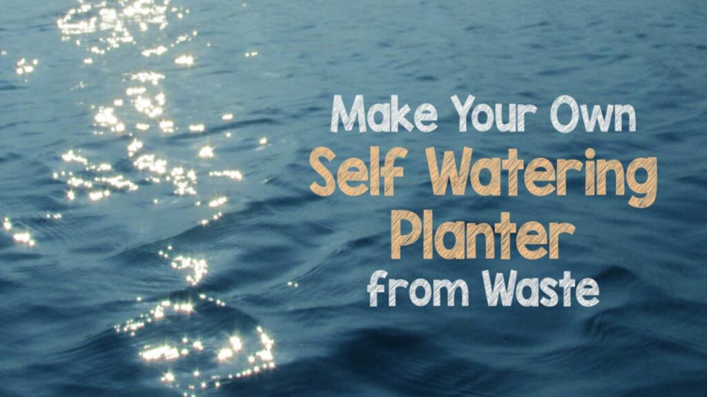 [2026] Make Your Own Self Watering Pot - ReilSolar
